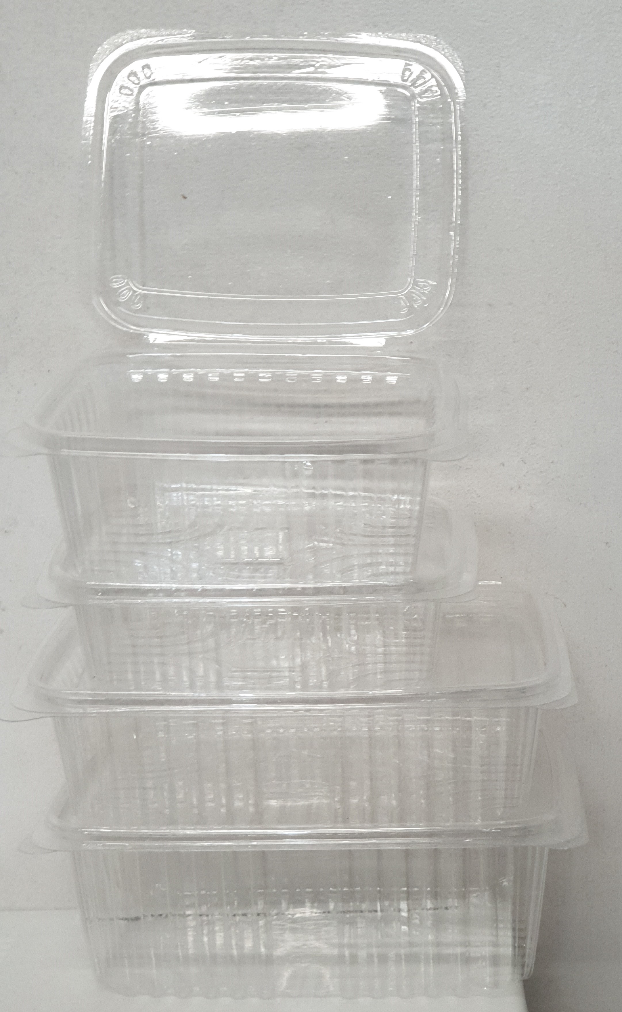 Hinged Lid Salad Containers Rectangular 375ml – 450 per box – Longs ...